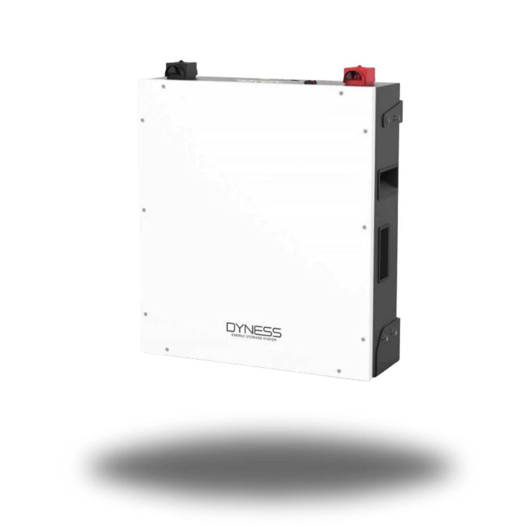 51.2V Dynes 100Ah - Bliss Tech Shop